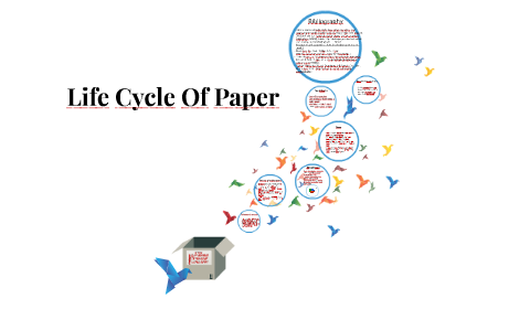 Life Cycle Of Paper by Eryn Dailey on Prezi