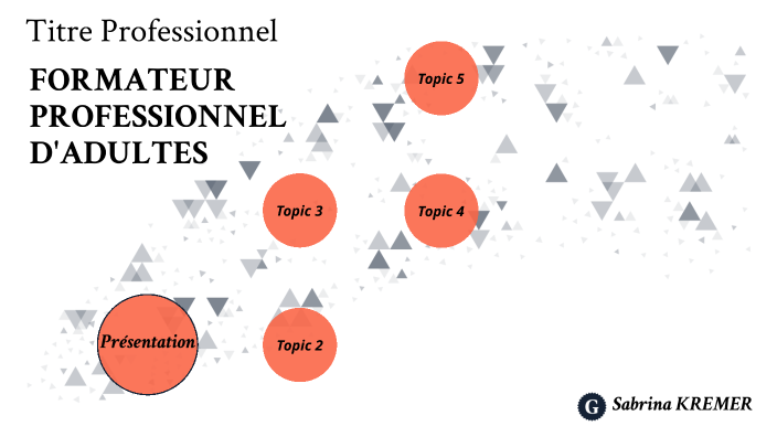 Titre Professionnel FORMATEUR PROFESSIONNEL D'ADULTES by sabrina KREMER ...