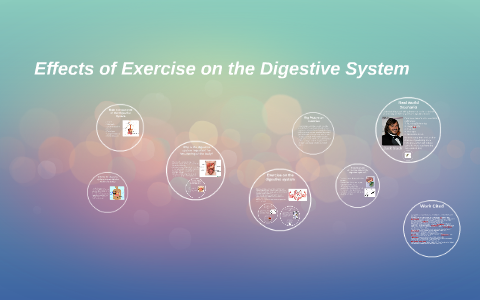Effects of Exercise on the Digestive System by on Prezi