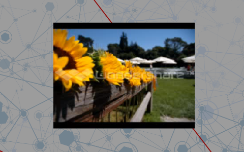 verbs, adjectives, & adverbs by helen quach