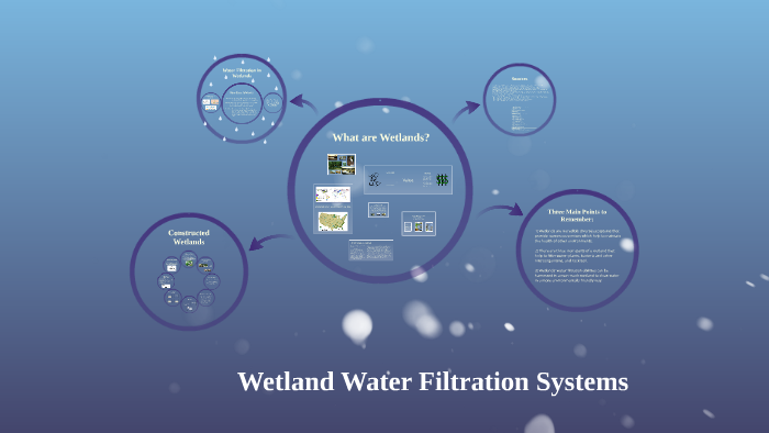 Wetland Water Filtration Systems by Megan Good on Prezi