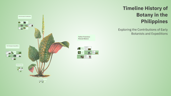 Timeline History of Botany in the Philippines by Jellian Carla S. Selda ...
