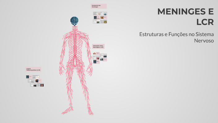 MENINGES E LCR by Nelson Trindade on Prezi