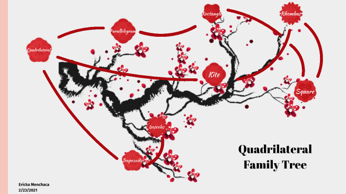 Quadrilateral Family Tree by Ericka Menchaca on Prezi