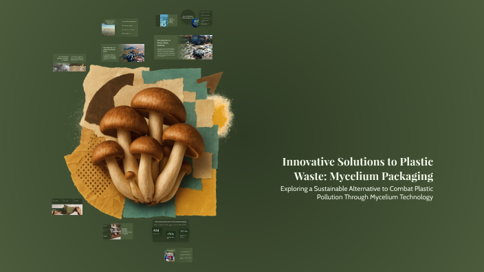 Innovative Solutions to Plastic Waste: Mycelium Packaging by Joshua ...