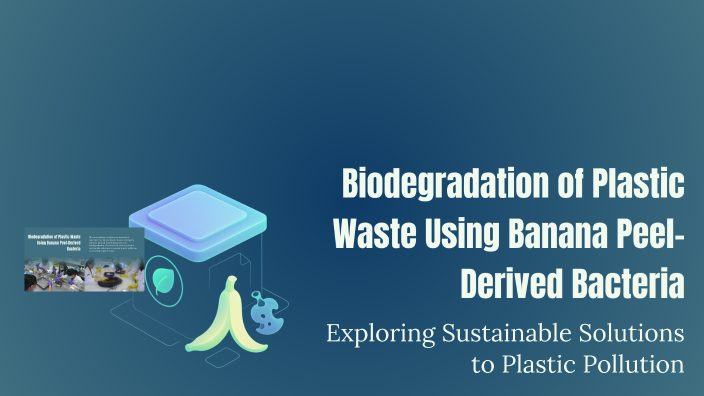 Biodegradation of Plastic Waste Using Banana Peel-Derived Bacteria by ...