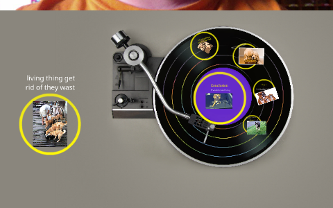 The Five Basic Life Functions by REBECCA BAGGETT on Prezi