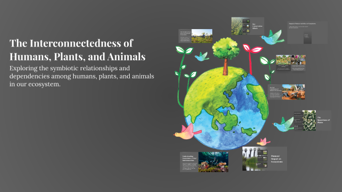 The Interconnectedness of Humans, Plants, and Animals by Ania Koziol on ...