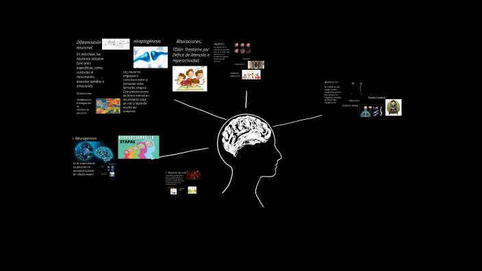 by Ruth Jessenia Intriago Macias on Prezi