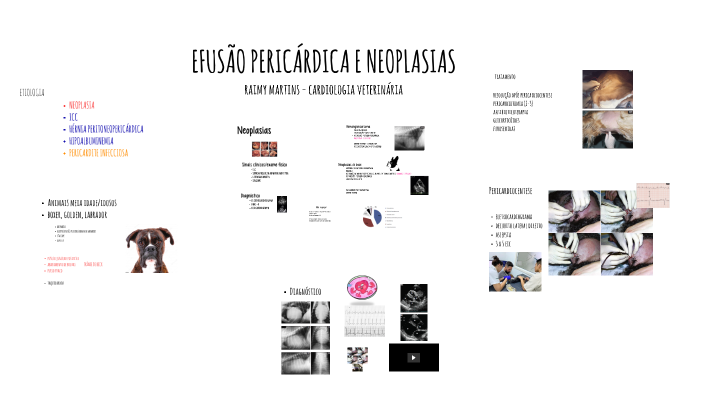 EFUSAO PERICARDICA by Raimy Martins on Prezi