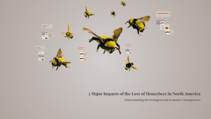 3 Major Impacts of the Loss of Honeybees in North America by Bruce ...