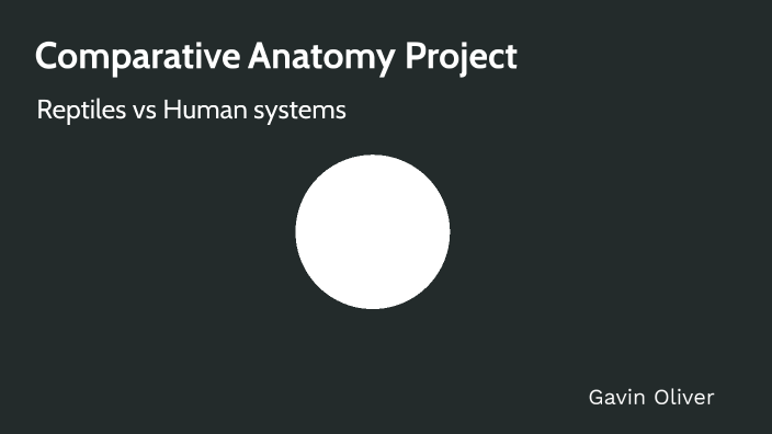 Comparative anatomy project by Gavin Oliver on Prezi