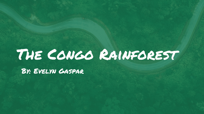 The Congo Rainforest Ecosystem by Evelyn Gaspar on Prezi