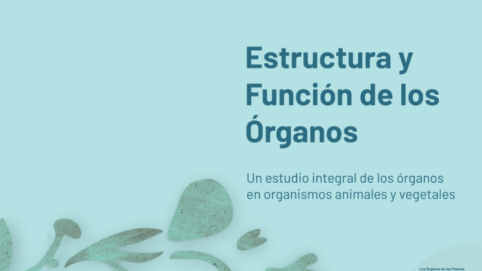 Estructura y Función de los Órganos by WILLIAM ANTONIO MARTINEZ SALAZAR ...