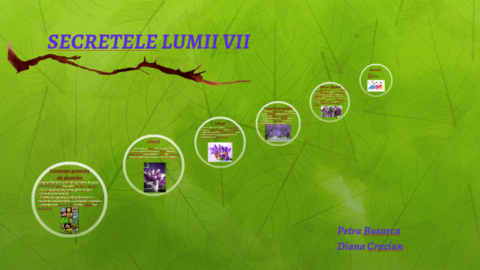SECRETELE LUMII VII by Petra Busurca on Prezi