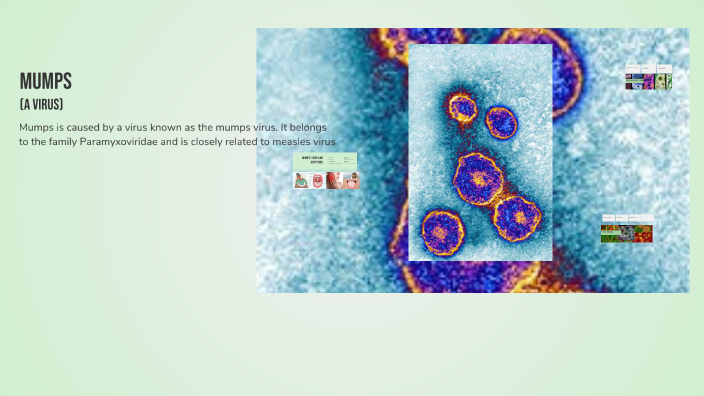 Understanding Pathogens: The Invisible Threats by STARR! on Prezi