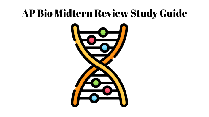AP bio midterm study guide by anna roberts on Prezi