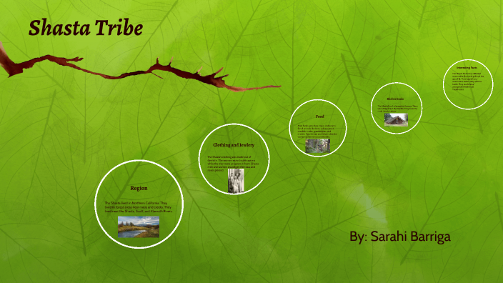 Shasta Tribe by Sarahi Barriga Cervantes on Prezi