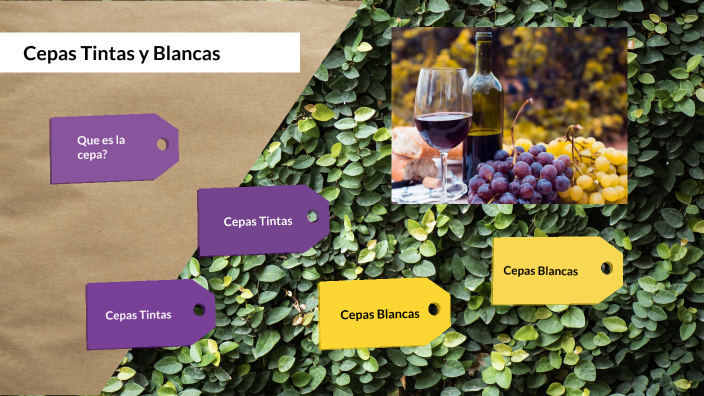 Cepas Tintas y Blancas by Juan Jose Rios Zuluaga on Prezi