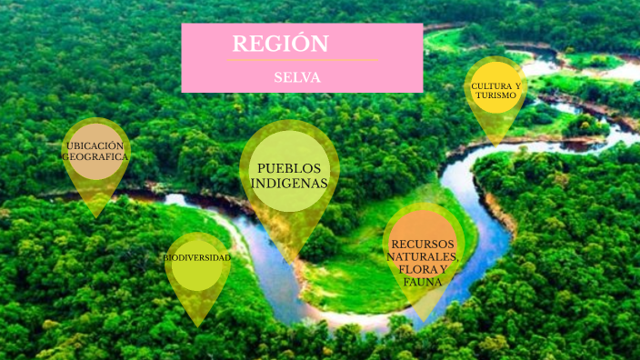 Región Selva del Perú by marisol paz cordova on Prezi