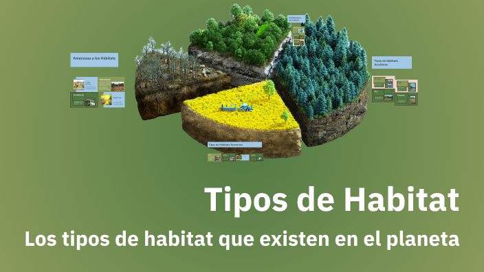 Tipos de Habitat by Xavier Hernandez on Prezi