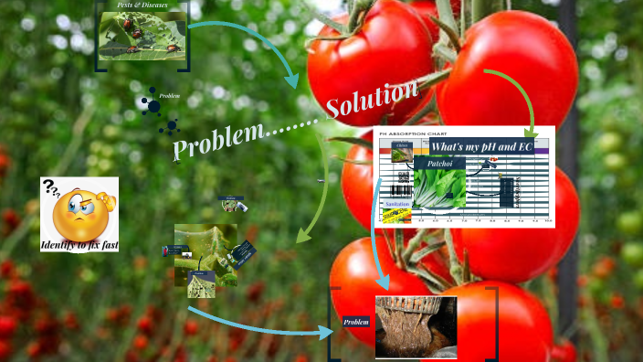 Problem ..... Solution by Nkosi Felix on Prezi