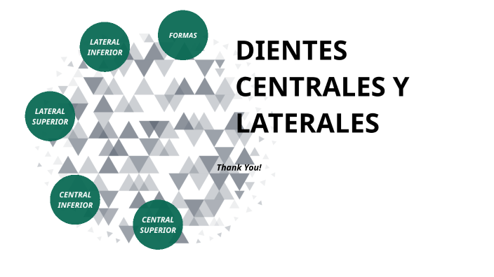 CENTRALES Y LATERALES by Elisa Solano Monge on Prezi