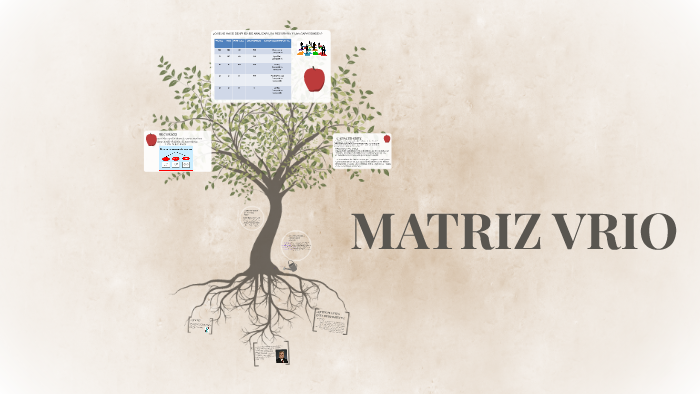 MATRIZ VRIO by diego andres cruz fresneda on Prezi