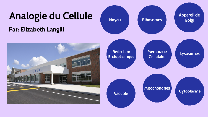 A Cell is like a School by Elizabeth L on Prezi