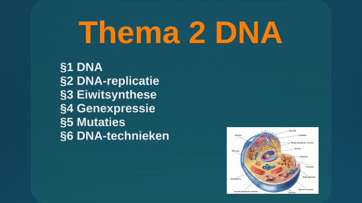Hfdst 2 DNA Havo 5 BVJ 2122 by Alicia Verberkt on Prezi