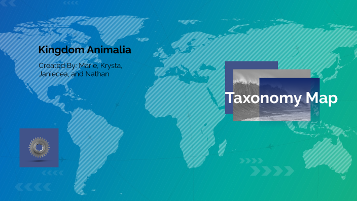 Kingdom Animalia by Nathan Erwin on Prezi