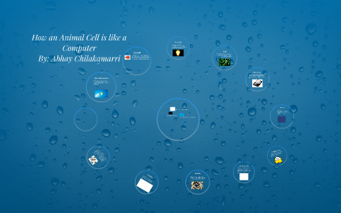 How an Animal Cell is like a Computer by Abhay Chilakamarri on Prezi