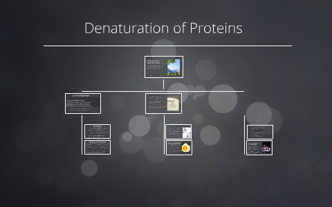 Denaturation of a Protein Experiment by Brianna Thacker on Prezi