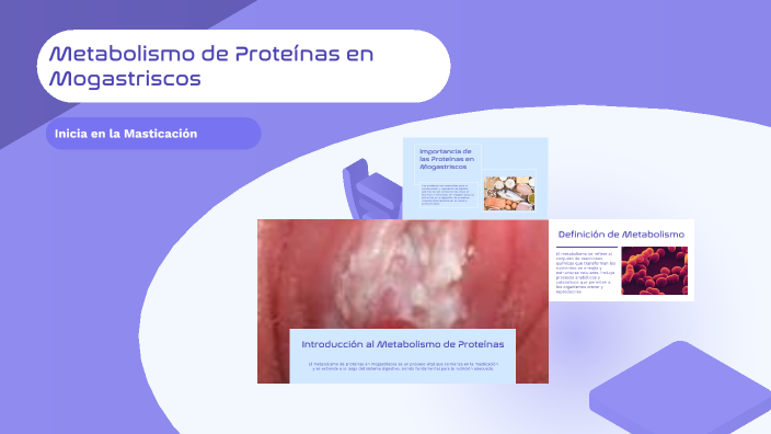 Metabolismo de Proteínas en Mogastriscos by german serna on Prezi
