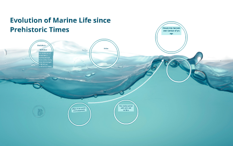 Evolution of Marine Life since Prehistoric Times by Maddie Elias on Prezi