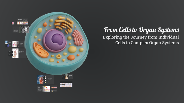 From Cells to Organ Systems by jinky oraiz on Prezi