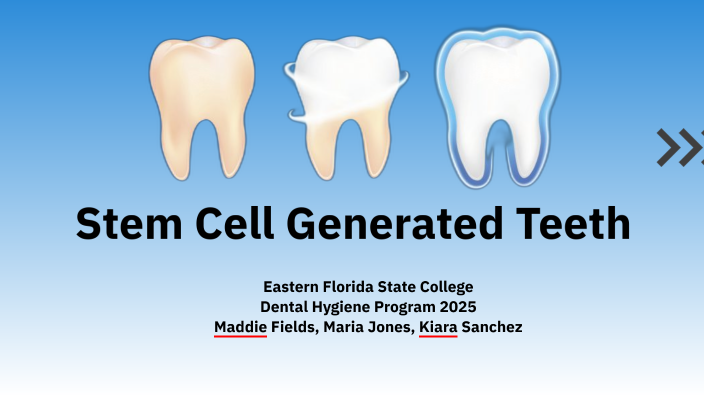 Stem cell generated Teeth by Samantha O'Neal on Prezi