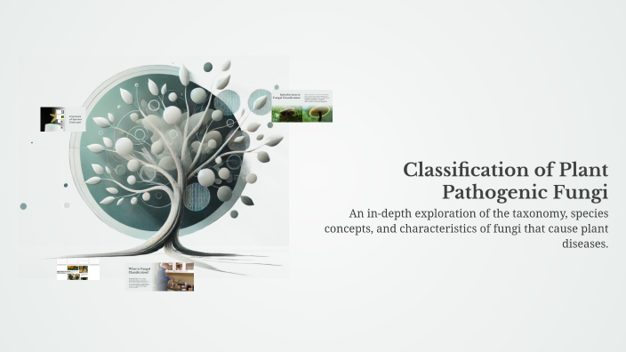 Classification of Plant Pathogenic Fungi by Sukanya Haituk on Prezi