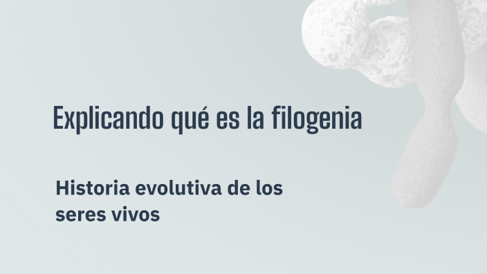 Explicando qué es la filogenia by Samantha Rubio on Prezi