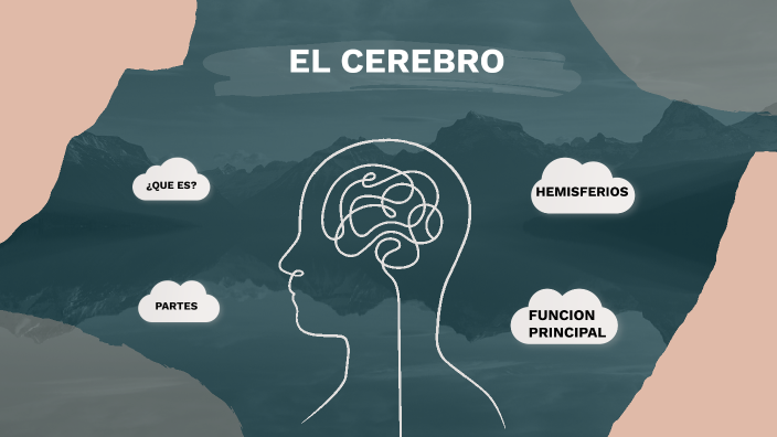 El Cerebro By Roque Baldeon On Prezi