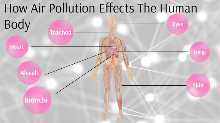 How Air Poultion Effects The Human Body by Hailey Carter on Prezi