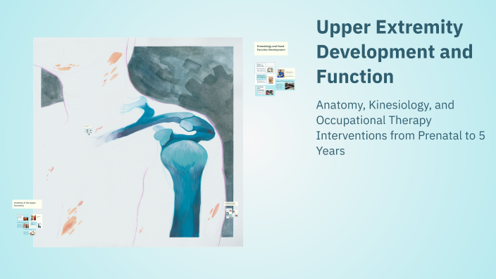 Upper Extremity Development and Function by Syed Salman on Prezi