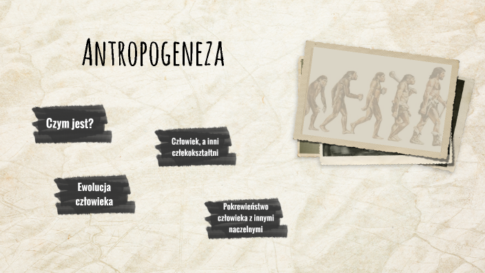 Antropogeneza by Gabriela Marciszka on Prezi