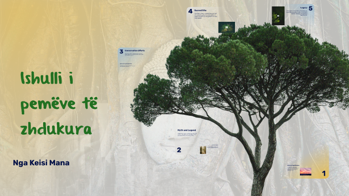 Pema Tree by Keisi Mana on Prezi