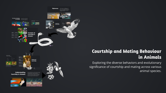 Courtship and Mating Behaviour in Animals by rohit sharma on Prezi