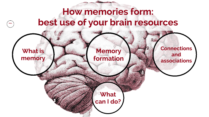 How memories form: best use of your brain resources by István Tóth on Prezi