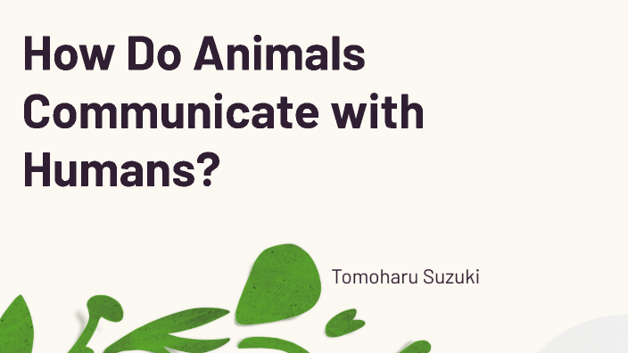 How Do Animals Communicate with Humans? by ew251177 ｽｽﾞｷ ﾄﾓﾊﾙ on Prezi