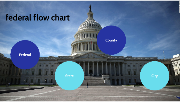 federal flow chart by Mariano Mavrommatis on Prezi