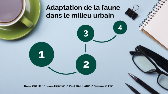 Oral animation by Samuel GASC on Prezi