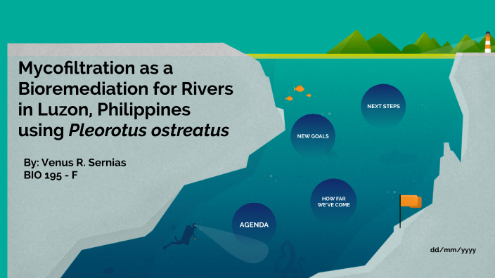 Mycofiltration by Venus Sernias on Prezi